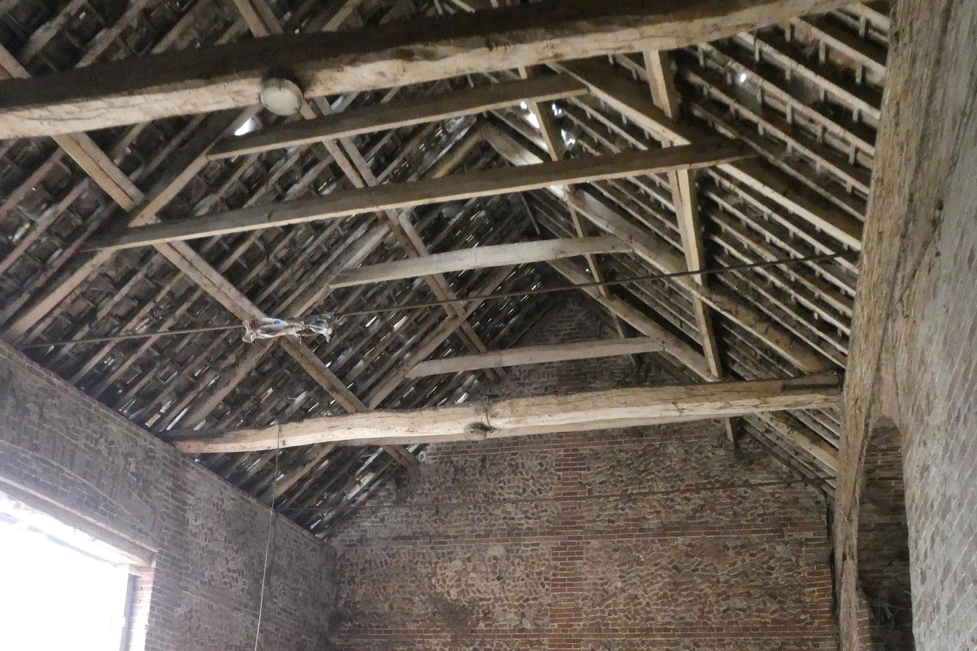 Events & Lectures | NHBG